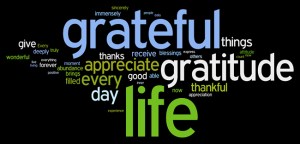 Daily Gratitude 6-6-26 – My Distilled Life